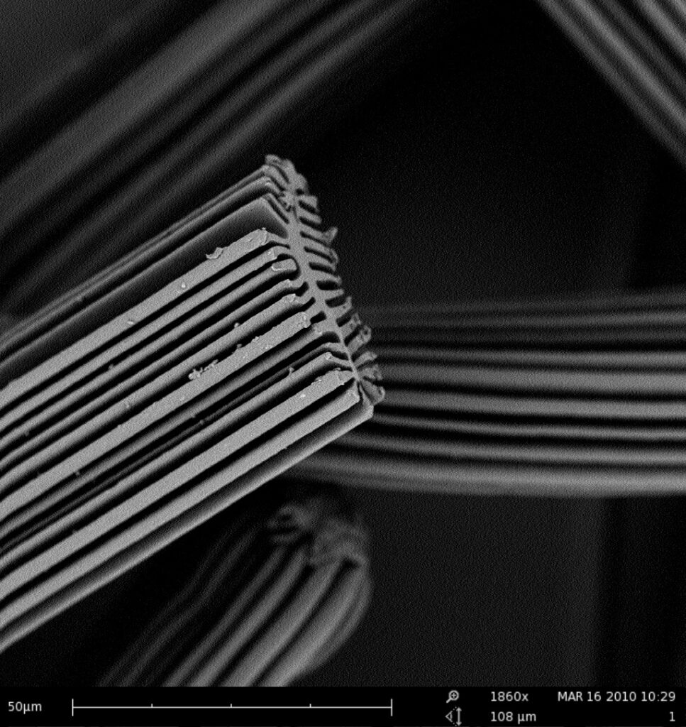 Fiber and Polymer Science Lab | The Nonwovens Institute
