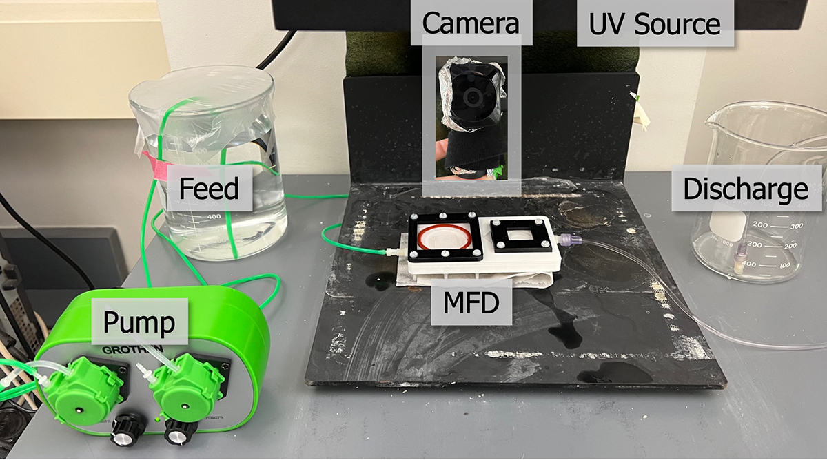 Lucille Verster Rivera, Degradation Modalities of Synthetics and Bio ...