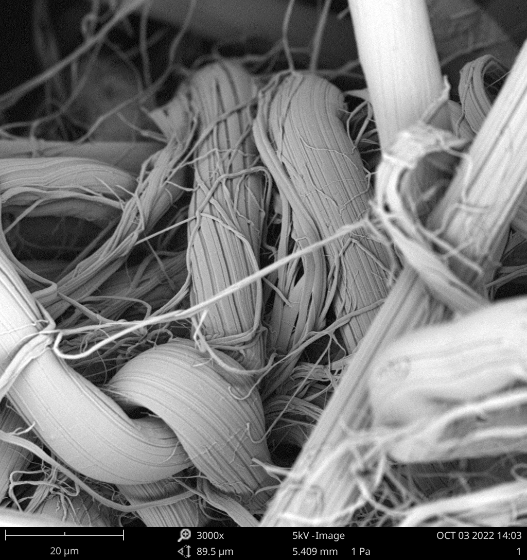 Morgan Gilbert, Hydroentangled Cellulosic Nonwovens as Potential ...