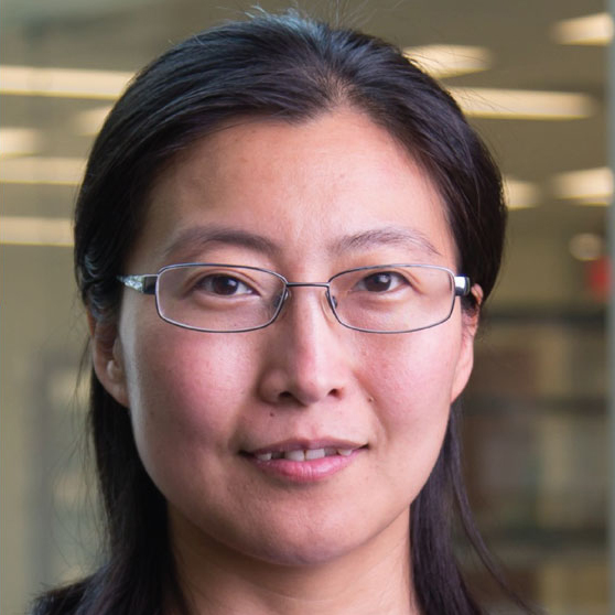 Hong Zhao, Ph.D. | The Nonwovens Institute